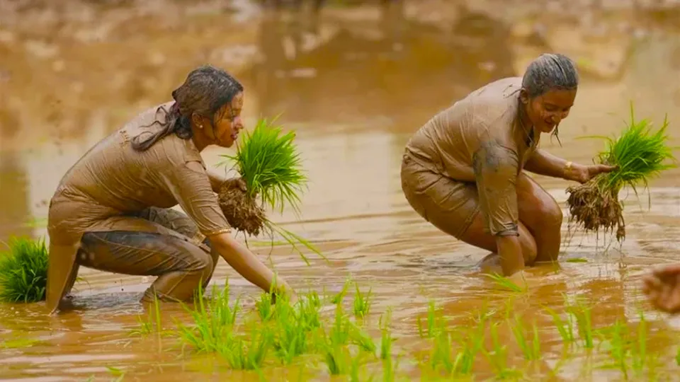 Ashar 15- A Unique Mud Festival